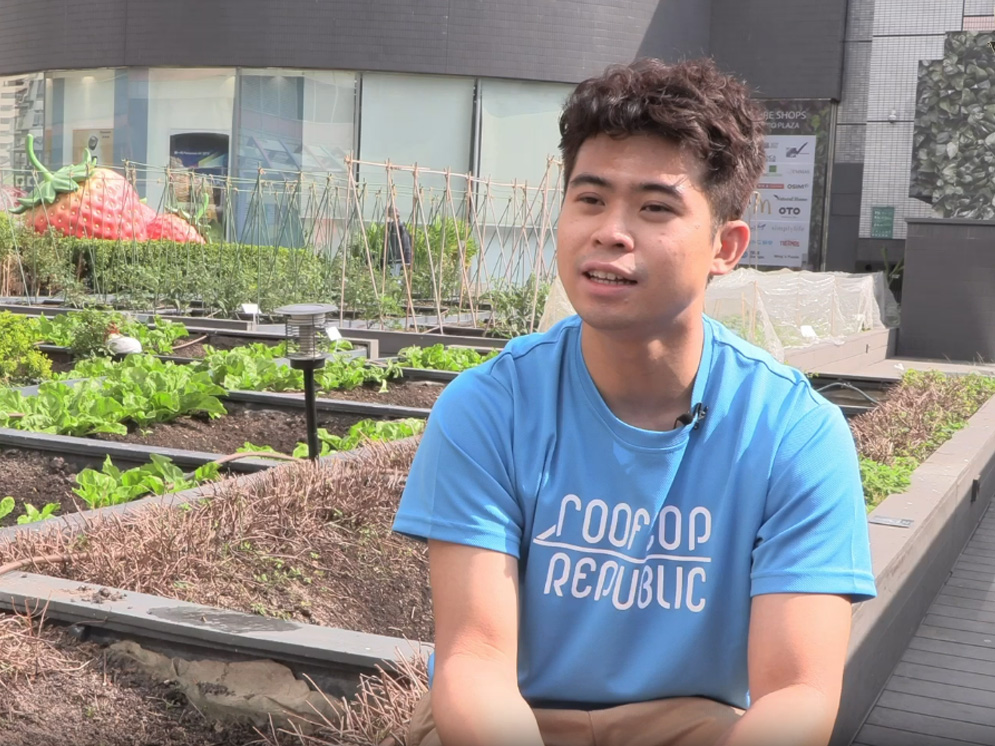 STC Community - Shung Tak Catholic English College